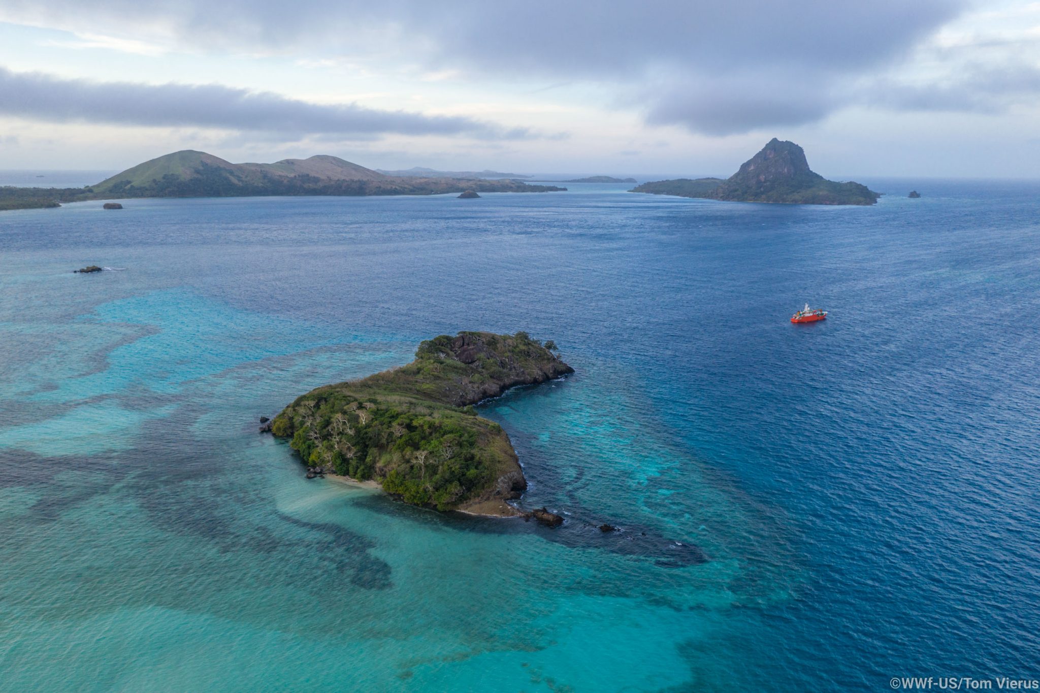 Great Sea Reef Survey | WWF Assignment in Fiji - Livingdreams ...