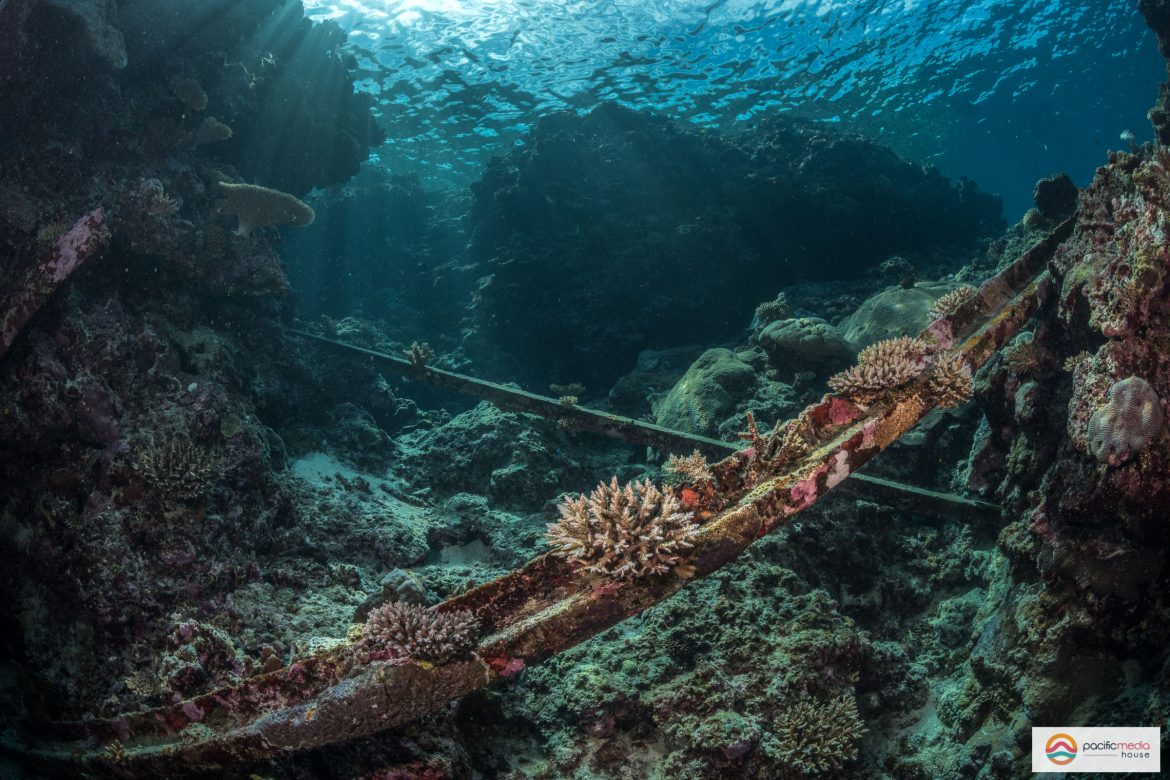 Diving in Fiji during COVID-Lockdown | NAI'A Liveaboard - Livingdreams.tv