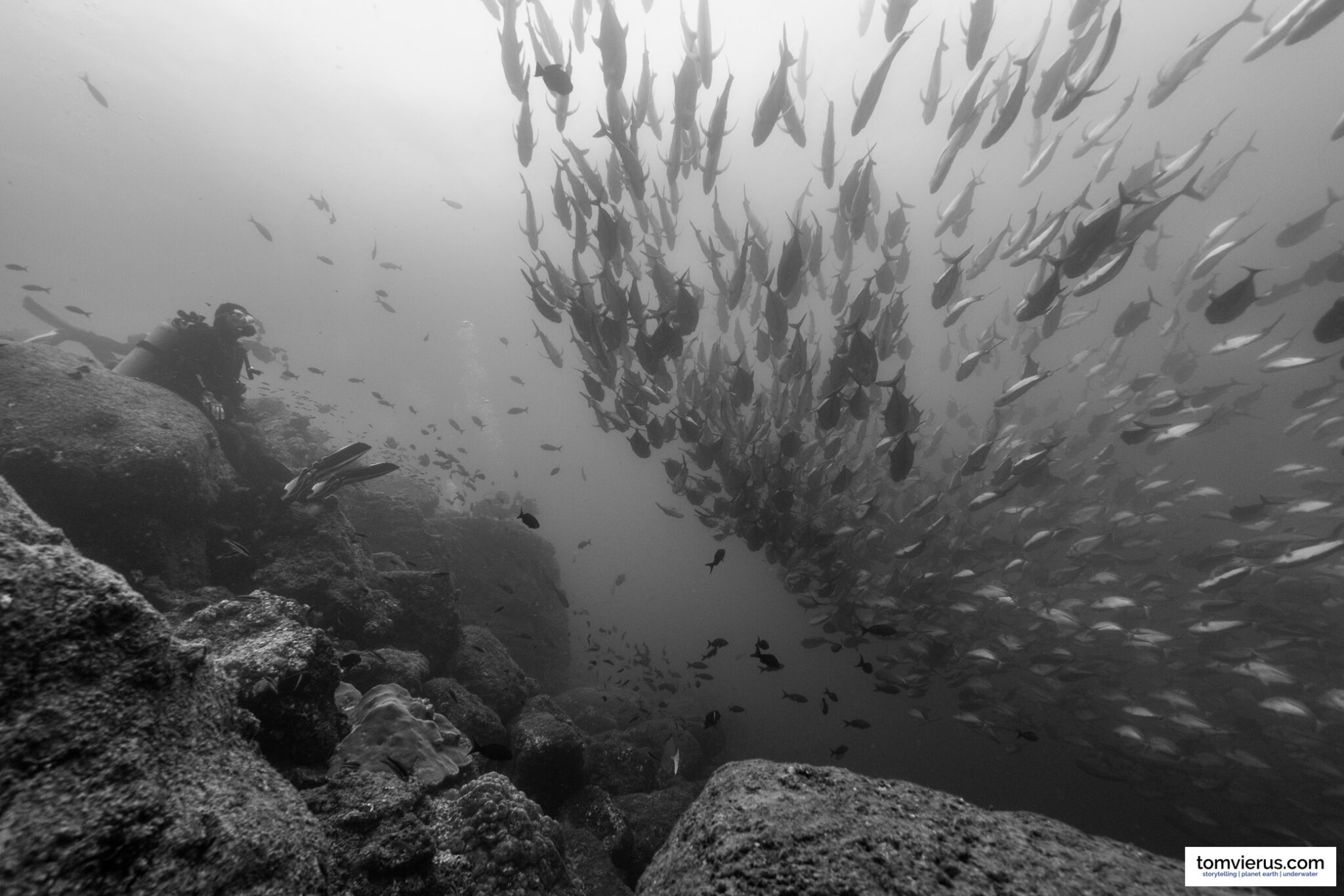 Galápagos Diving from a Photography Perspective | Darwin's Arch | Part ...