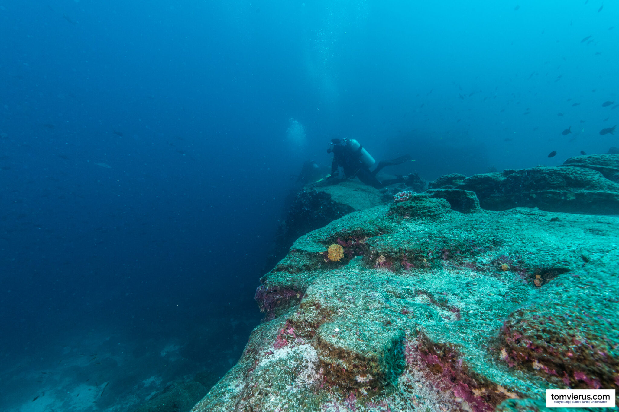 Galápagos Diving from a Photography Perspective | Darwin's Arch | Part ...