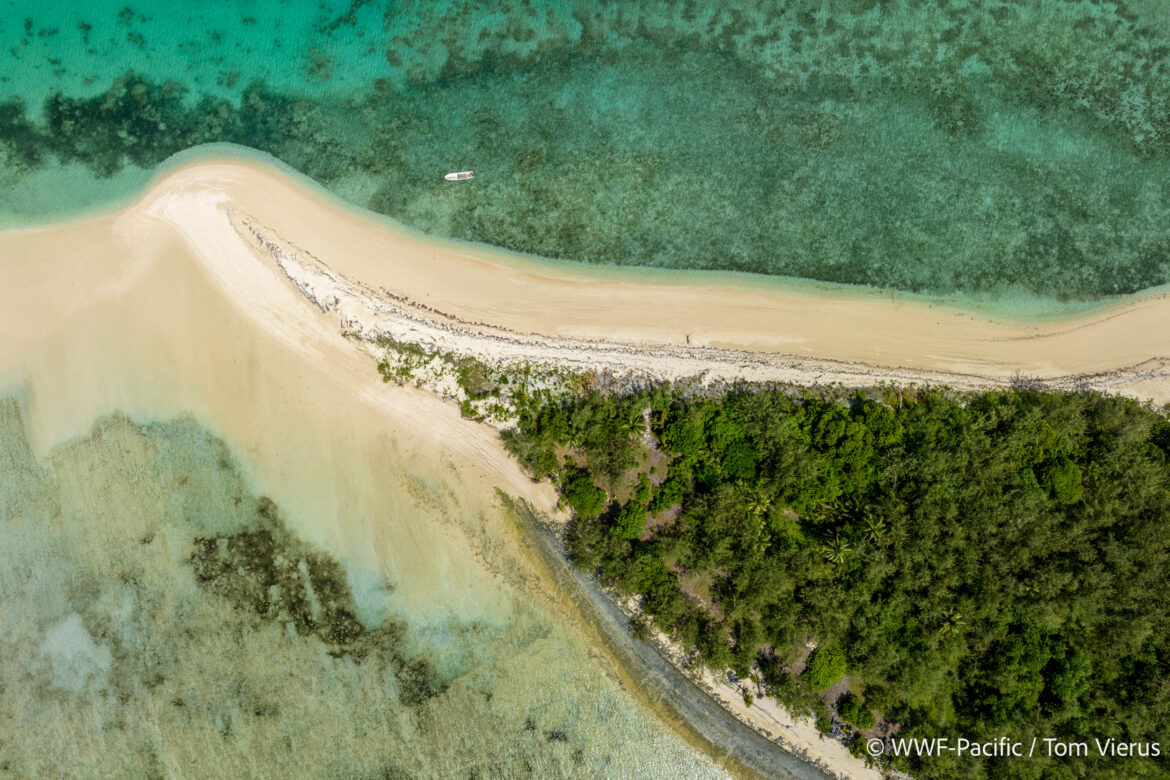 WWF Turtle Monitoring on Kavewa Island in Fiji - Livingdreams.tv