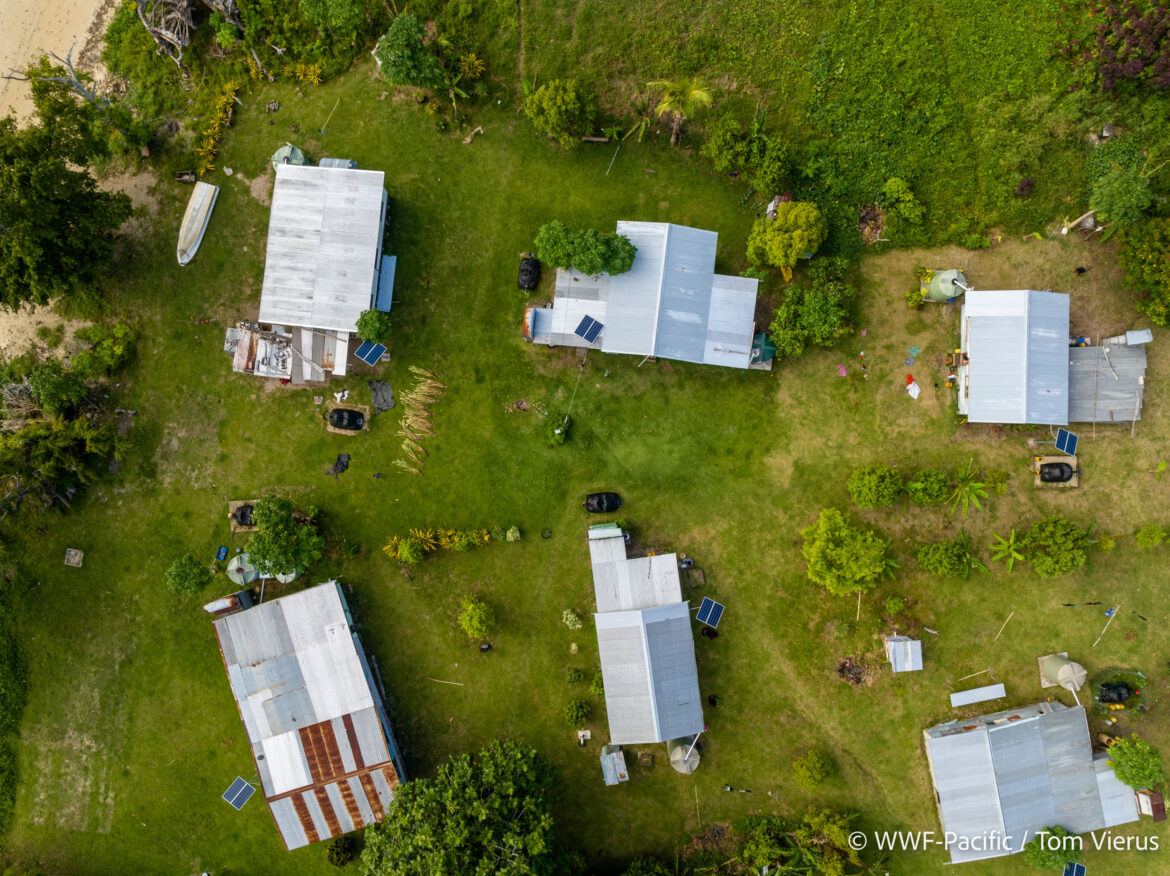WWF Turtle Monitoring on Kavewa Island in Fiji - Livingdreams.tv