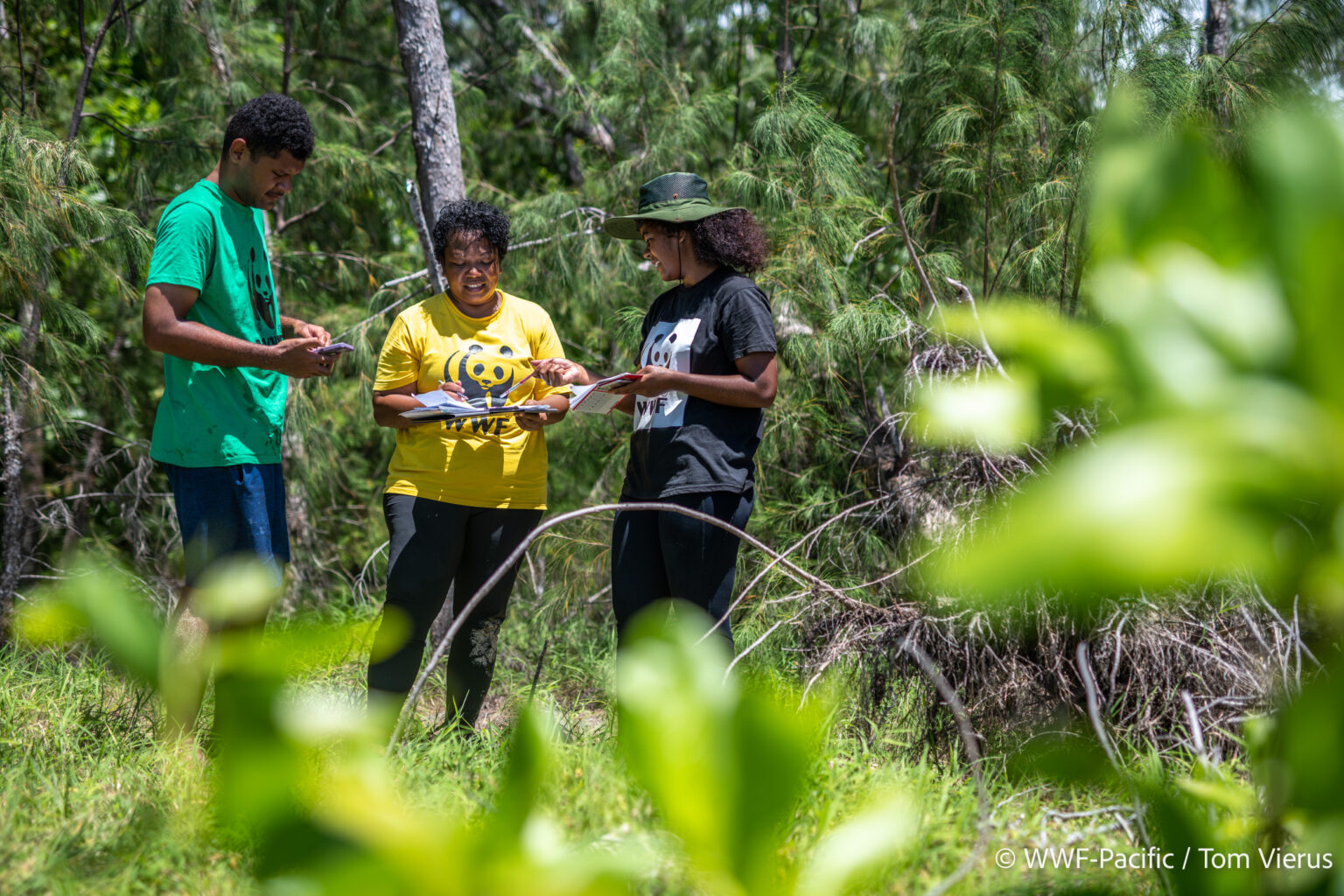 WWF Turtle Monitoring on Kavewa Island in Fiji - Livingdreams.tv