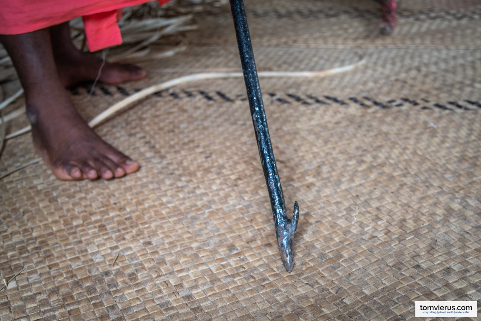 Turtles in Fiji - A brief history and law overview - Livingdreams ...