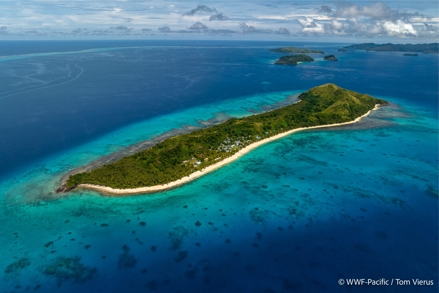 WWF Turtle Monitoring around Dravuni Island in Fiji - Livingdreams.tv