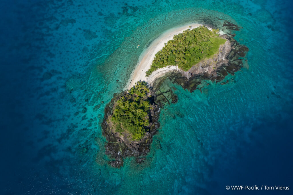 WWF Turtle Monitoring around Dravuni Island in Fiji - Livingdreams.tv
