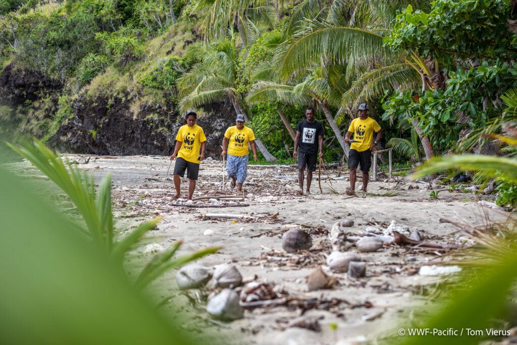WWF Turtle Monitoring around Dravuni Island in Fiji - Livingdreams.tv